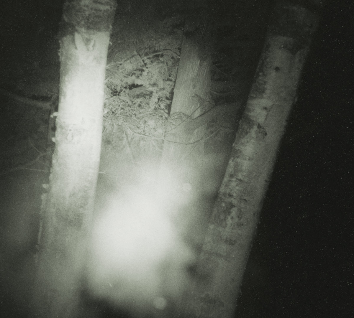 Circle Of Salt debut Suffer The Cold out in December | Avantgarde Music