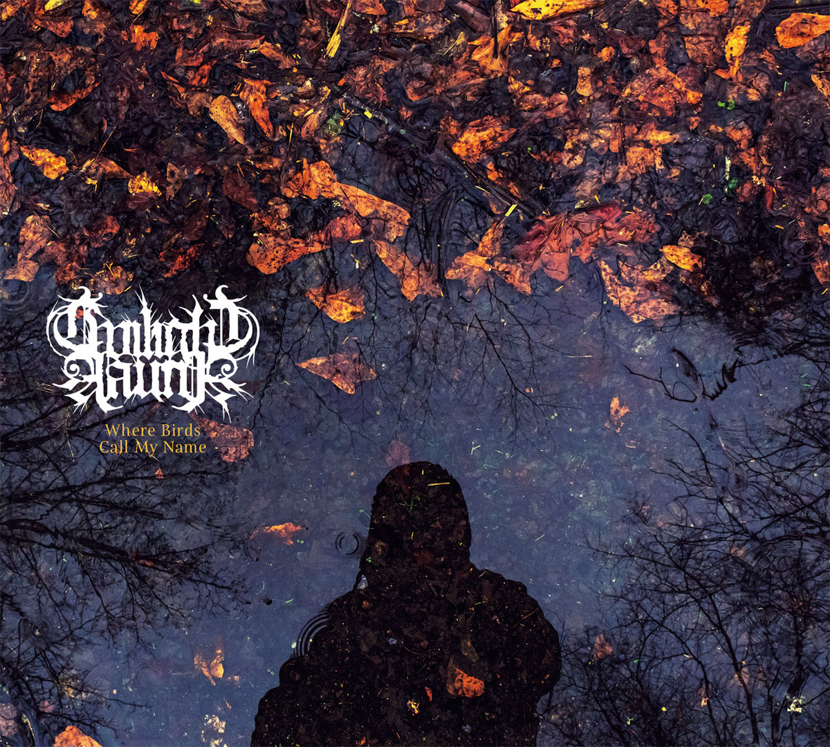 Twilight Fauna blends black metal and bluegrass from Appalachia ...