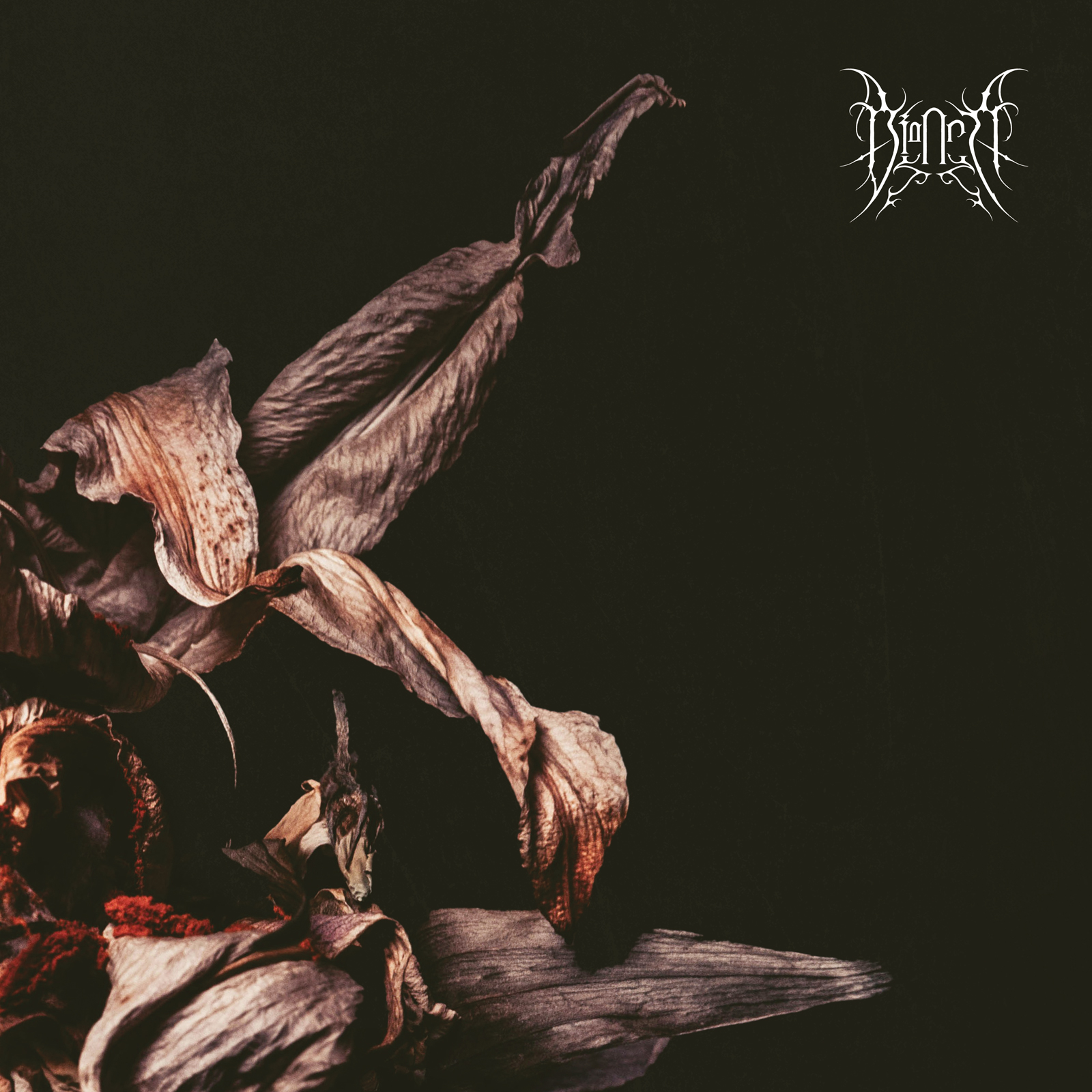 BIANCA debut album available for preorder | Avantgarde Music